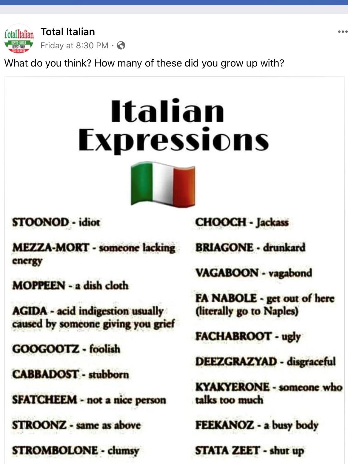 Speak Fun Italian – Little Italy Foundation